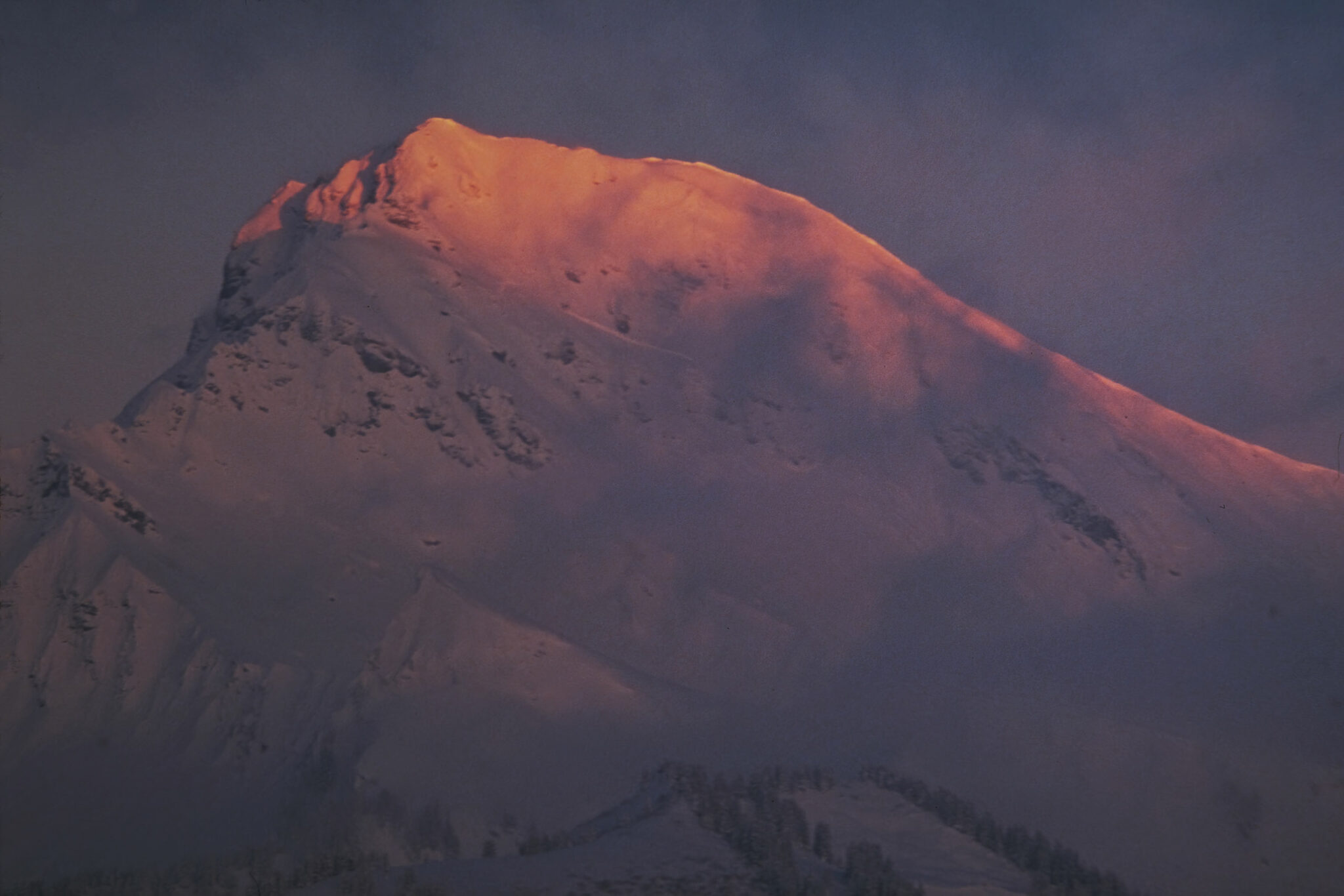 The Alps Snowy mountains – Decor Procurement